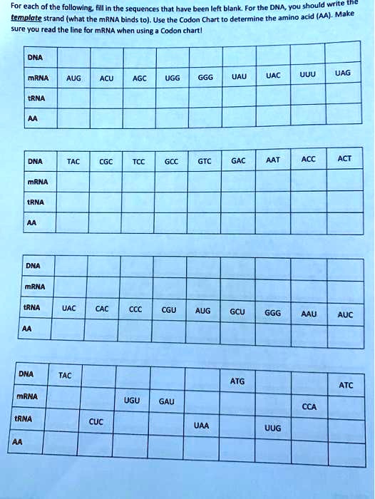 SOLVED: For each of the following, fill in the sequences that have been ...