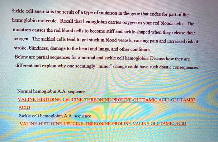 sickle cell anemia is the result ofatype ofmutation in the gene that ...