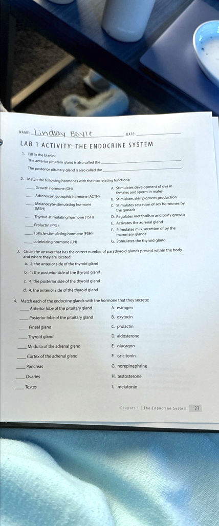 NAME: Lindsay Boyle DATE: LAB 1 ACTIVITY: THE ENDOCRINE SYSTEM Fill in ...