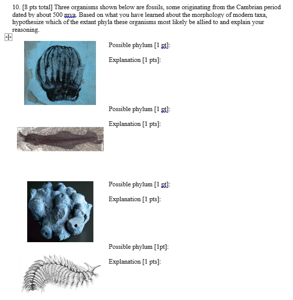 10 8 pts total three organisms shown below are fossils scmme originating from the cambrian ...