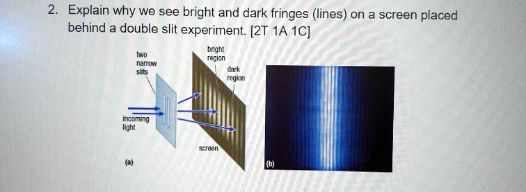 SOLVED: Explain why we see bright and dark fringes (lines) on a screen ...