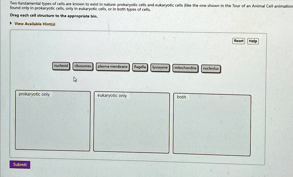 Drag Each Cell Structure To The Appropriate Bin