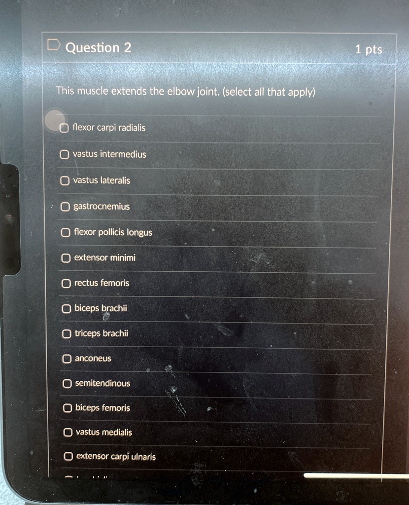 Question 2 This muscle extends the elbow joint. (select all that apply ...