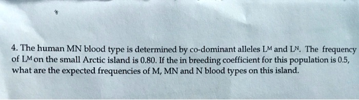 SOLVED: 4. The human MN blood type is determined by co-dominant alleles ...