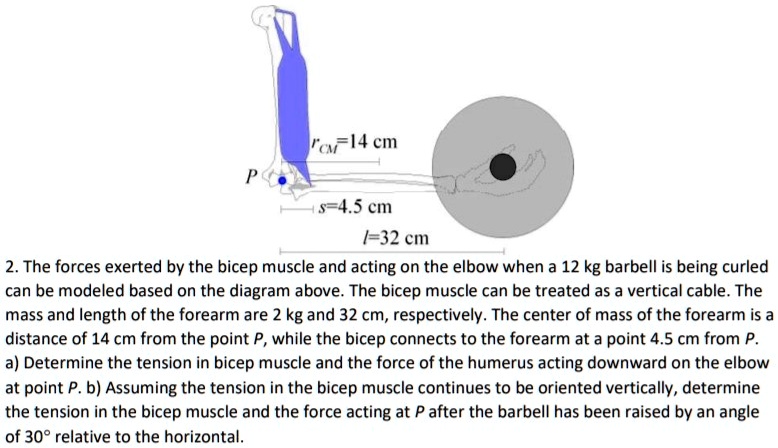 SOLVED:ro14 cm S-45 cm 1732 cm 2. The forces exerted by the bicep ...