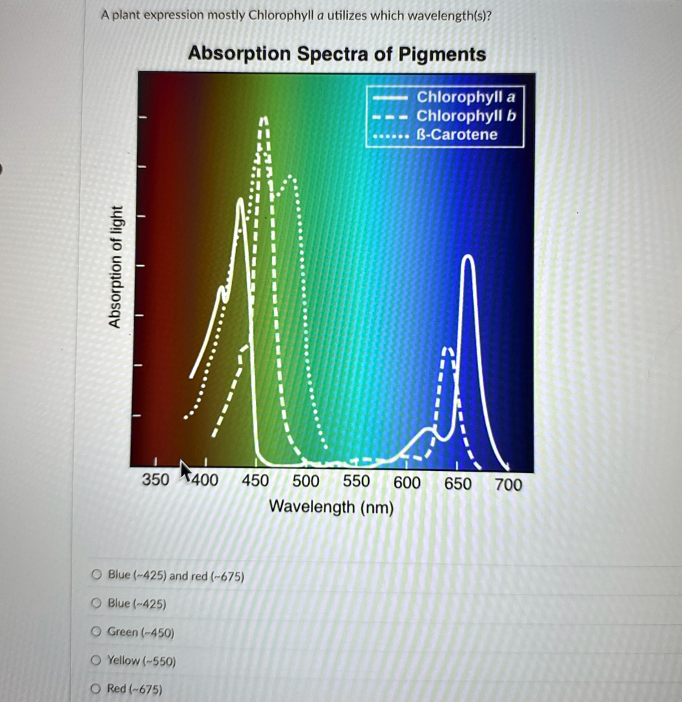 A plant expression mostly Chlorophyll a utilizes which wavelength(s ...