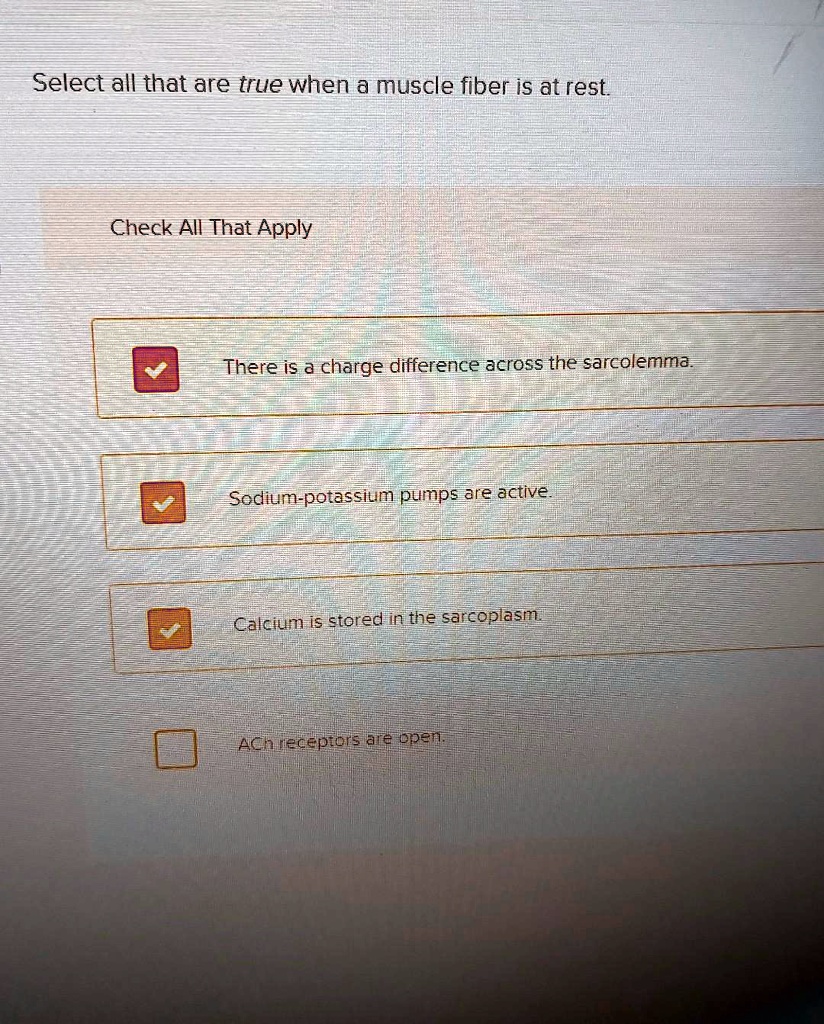 Text: Select all that are true when a muscle fiber is at rest Check All ...