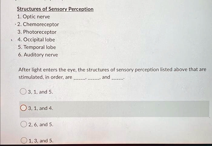 SOLVED: Structures of Sensory Perception: 1. Optic nerve 2 ...