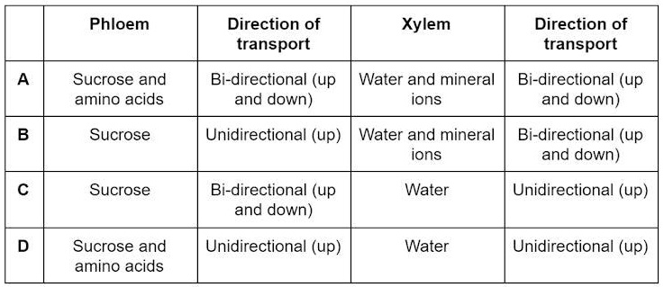Phloem Direction of transport Xylem Direction of transport A Sucrose ...