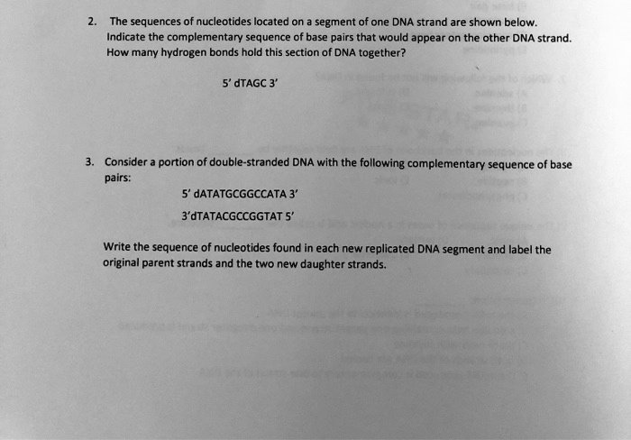 the sequences of nucleotides located on segment of one dna strand are ...