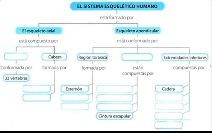 SOLVED: Me podrian ayudar con este mapa conceptual gracias EL Sistema ...