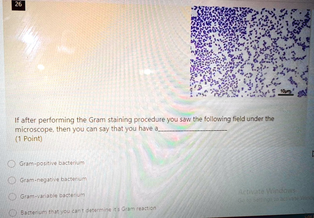 SOLVED: If, after performing the Gram staining procedure, you saw the ...