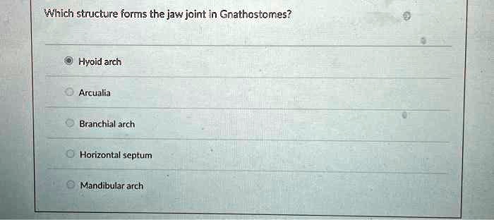 SOLVED: Which structure forms the jaw joint in Gnathostomes? Hyoid arch ...