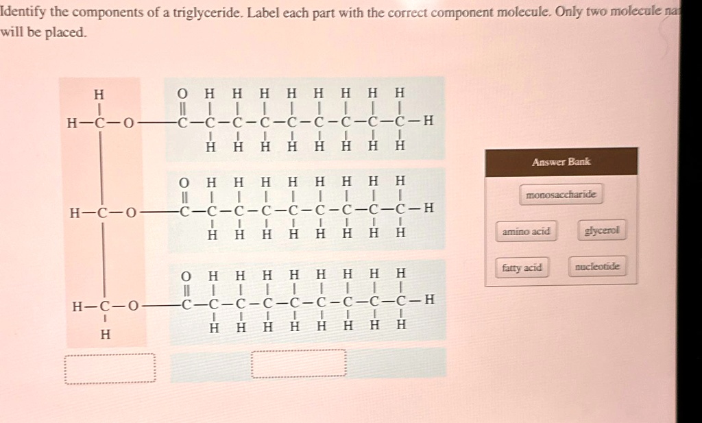 Identify the components of a triglyceride. Label each part with the ...