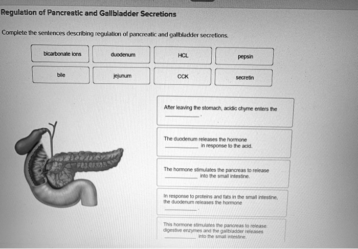 Regulation of Pancreatic and Gallbladder Secretions Complete the ...