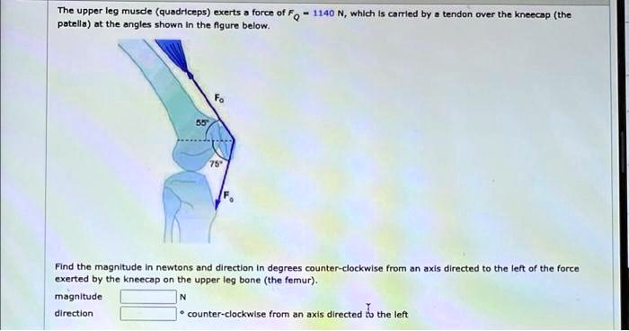 patella) at the angles shown in the figure below. exerted by the ...