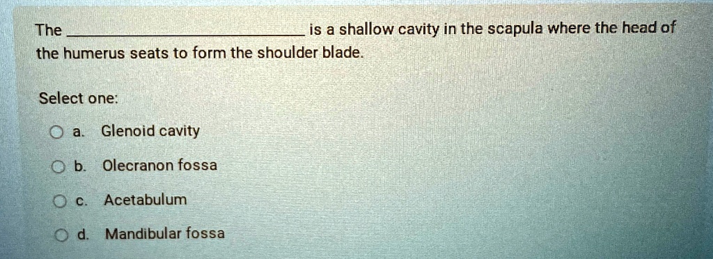 The is a shallow cavity in the scapula where the head of the humerus ...