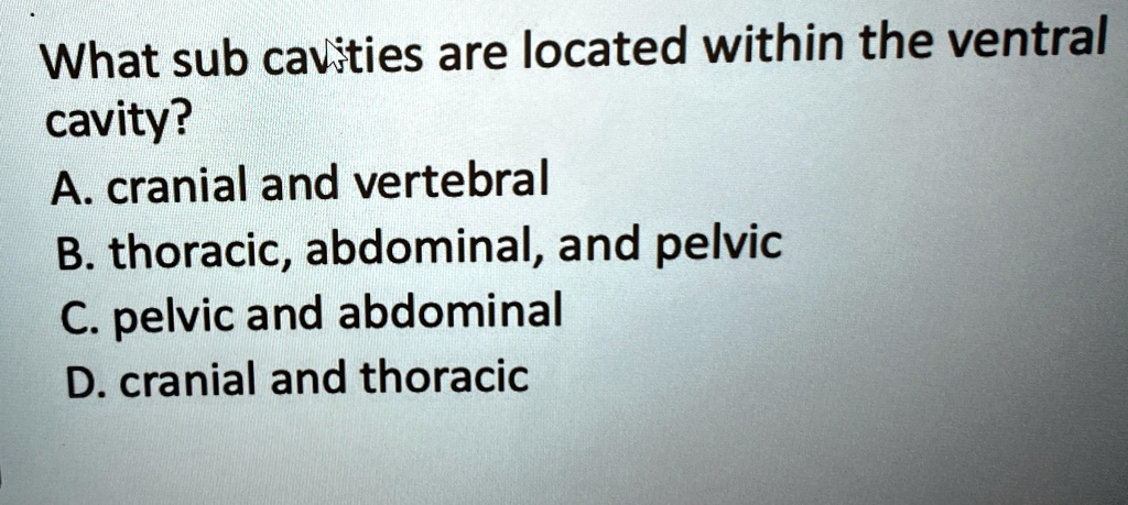 What sub cavities are located within the ventral cavity? A. cranial and ...