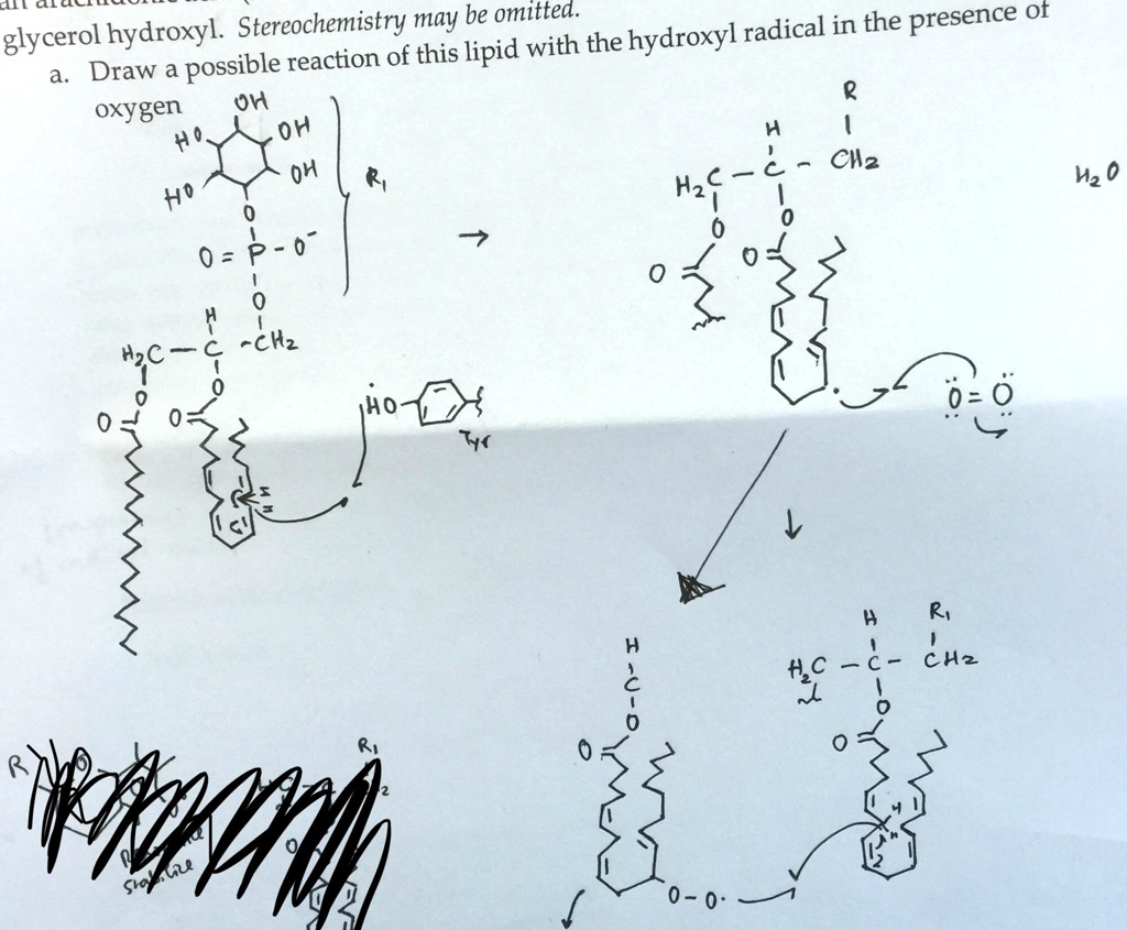 SOLVED: Draw a phosphatidylinositol lipid with a stearic acid attached ...