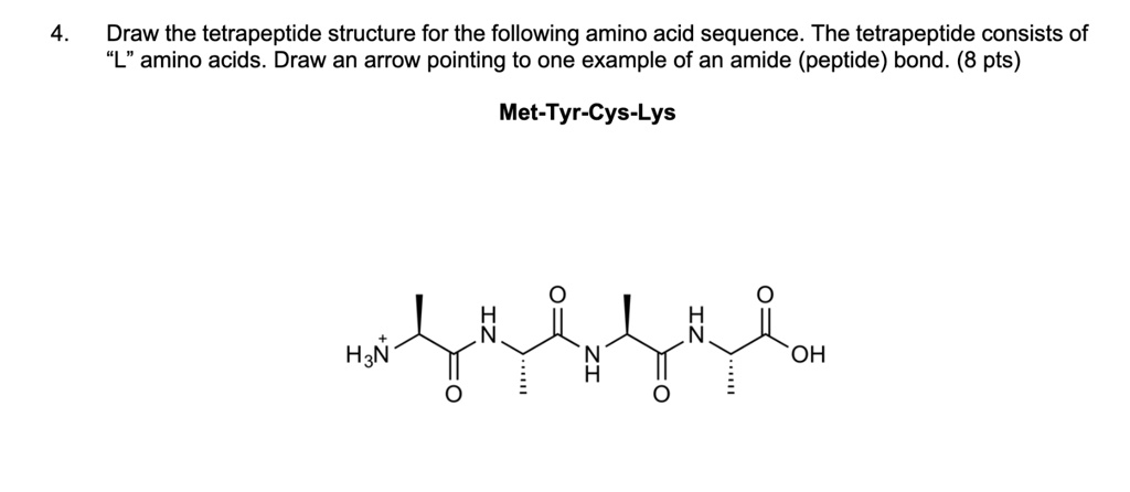 draw the tetrapeptide structure for the following amino acid sequence ...
