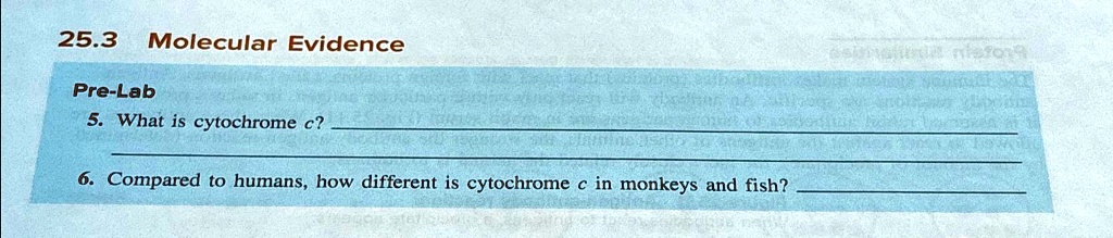 SOLVED: 25.3 Molecular Evidence Pre-Lab 5. What is cytochrome c ? 6 ...