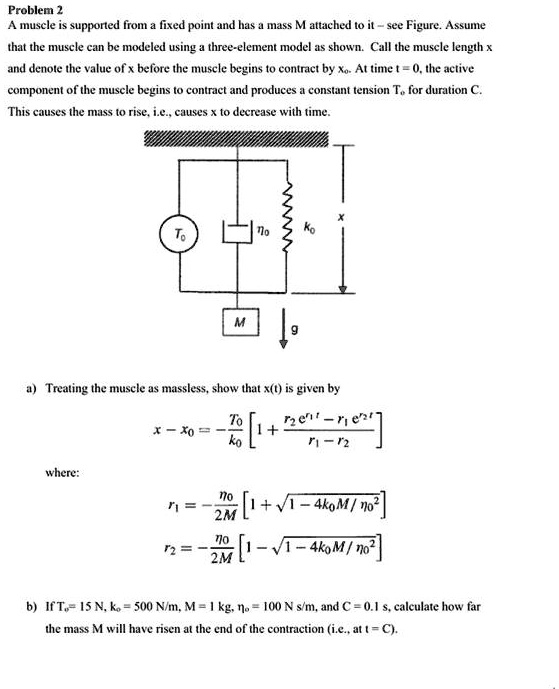 SOLVED: Problem 2: Muscle supported from a fixed point and has mass M attached to it, as shown ...