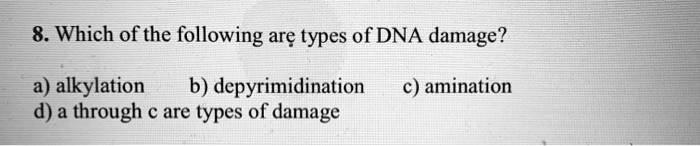 SOLVED:8. Which of the following are types of DNA damage? a) alkylation ...