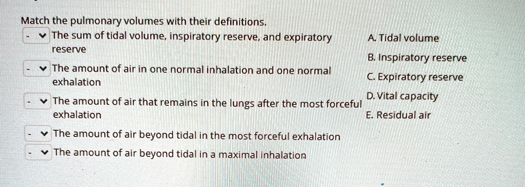match the pulmonary volumes with their definitions the sum of tidal ...