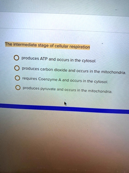 The intermediate stage of cellular respiration produces atp...