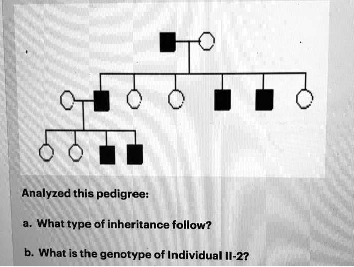 SOLVED: Analyzed this pedigree: a. What type of inheritance follow? b. What is the genotype of ...