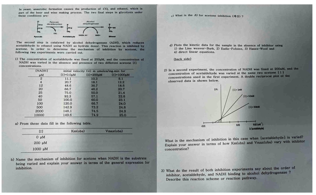 SOLVED: Please solve this question until today! In yeast, anaerobic fermentation causes the ...