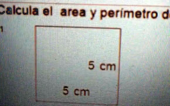 SOLVED: Calculate the area and perimeter of a square with side length 5 cm.