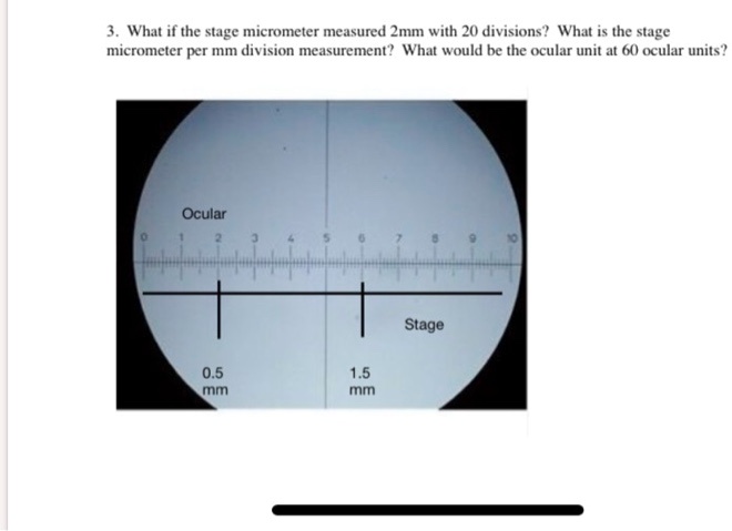SOLVED: What if the stage micrometer measured Zmm With 20 divisions ...