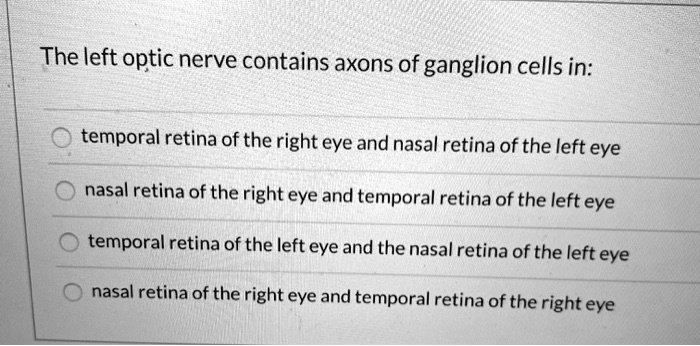 SOLVED: The left optic nerve contains axons of ganglion cells in ...
