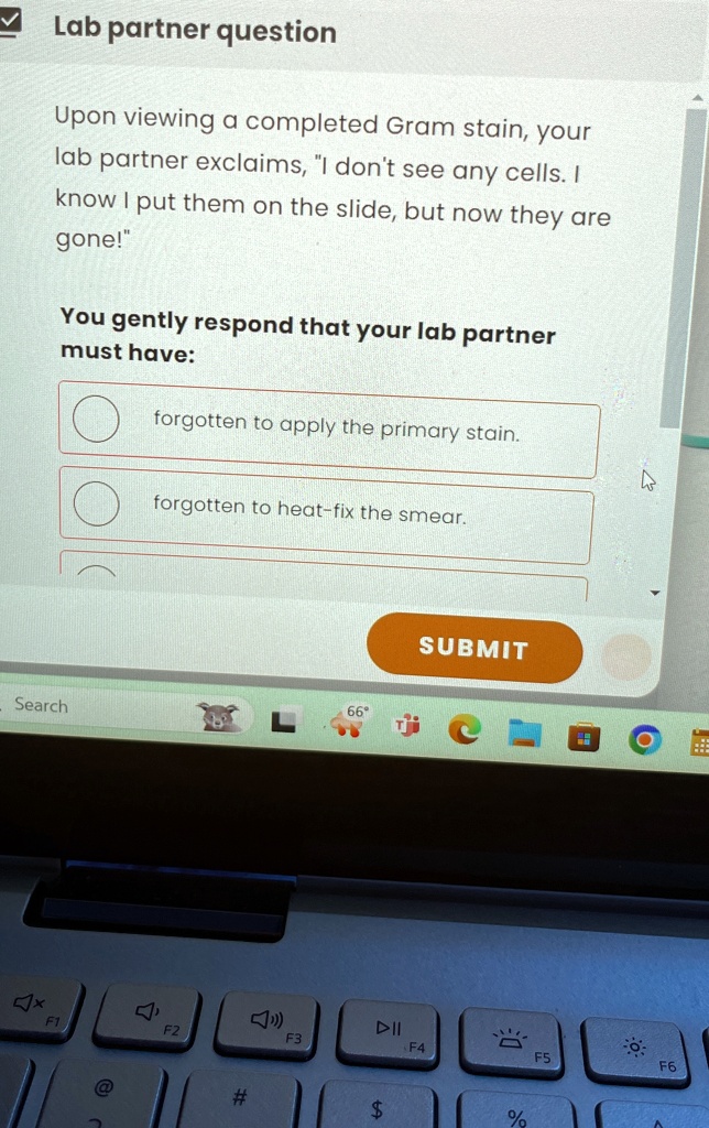 Lab partner question Upon viewing a completed Gram stain, your lab ...