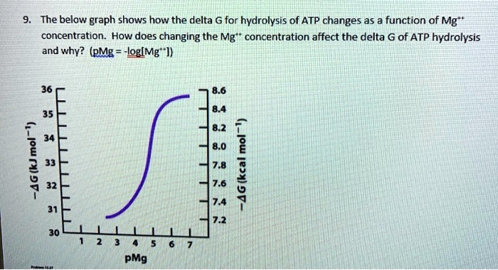 SOLVED: The below graph shows how the delta G for hydrolysis of ATP ...