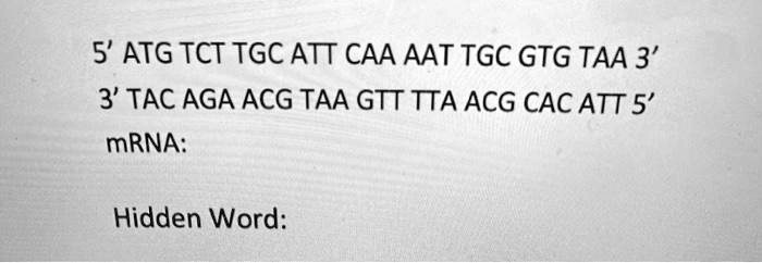 5' ATG TCT TGC ATT CAA AAT TGC GTG TAA 3' 3' TAC AGA ACG TAA GTT TTA ...