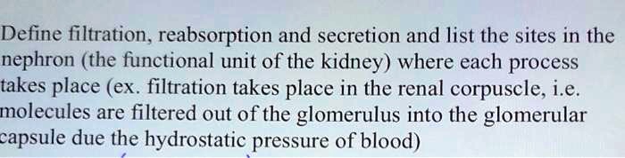 Define filtration, reabsorption and secretion and list the sites in the ...