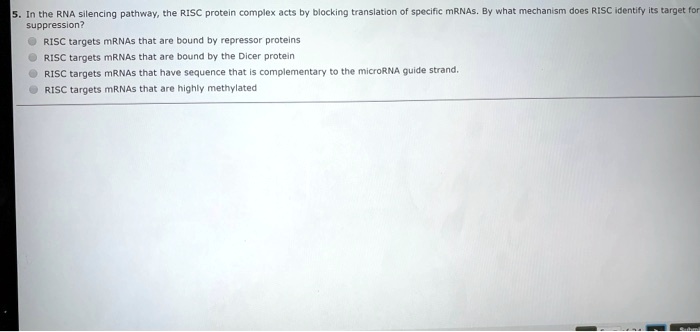 in the rna silencing pathway the risc proteiln complex acts by blacking ...