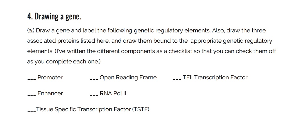 4 drawing a gene a draw a gene and label the following genetic ...