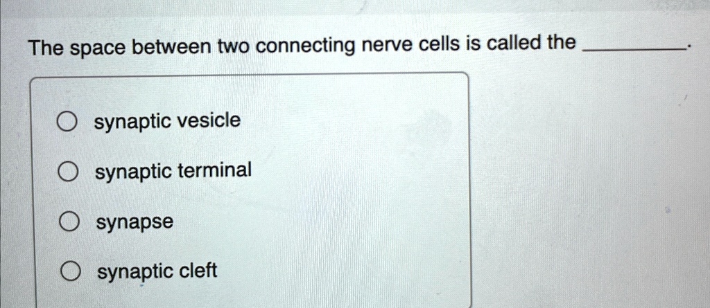The space between two connecting nerve cells is called the synaptic ...