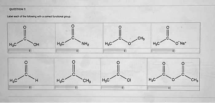 question 1 label each of the following with a correct functional group h3c h3c oh h3c h3c nh2 ...