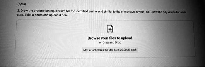 [GET ANSWER] (5pts) 2. Draw the protonation equilibrium for the identified amino acid similar to ...