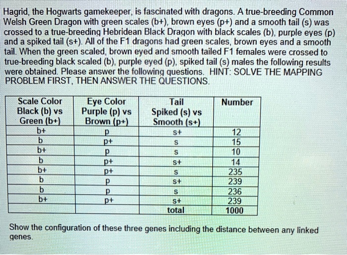 SOLVED: Hagrid; the Hogwarts gamekeeper, is fascinated with dragons. A ...