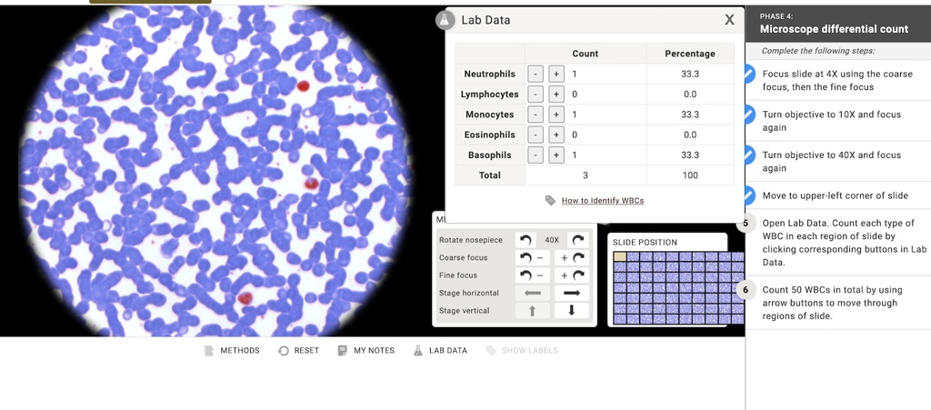 phase4 microscope differential count lab data count percentage complete ...