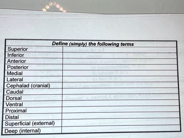 SOLVED: Define (simply) the following terms: Superior - Higher or above ...