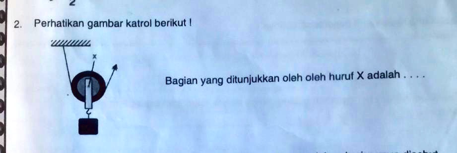 SOLVED: bagian yang di tunjukkan oleh huruf x adalah....... Perhatikan ... SOLVED: bagian yang di tunjukkan oleh huruf x adalah....... Perhatikan ...
