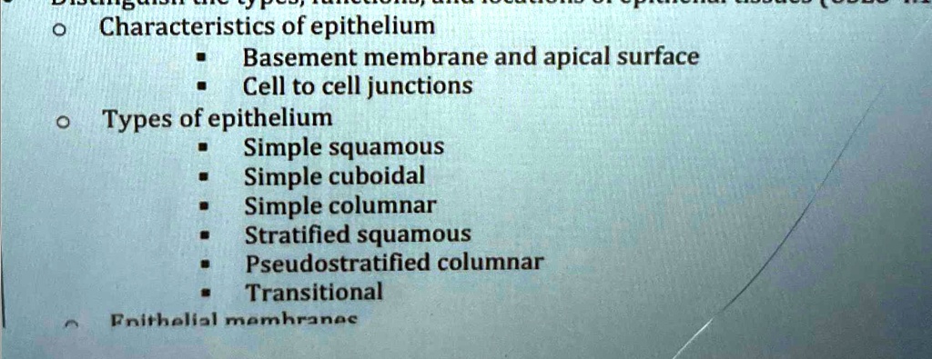 Characteristics Of Epithelium Basement Membrane And Apical Surface Cell To Cell Junctions Types