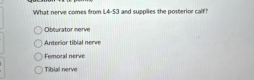 What nerve comes from L4-S3 and supplies the posterior calf? Obturator ...