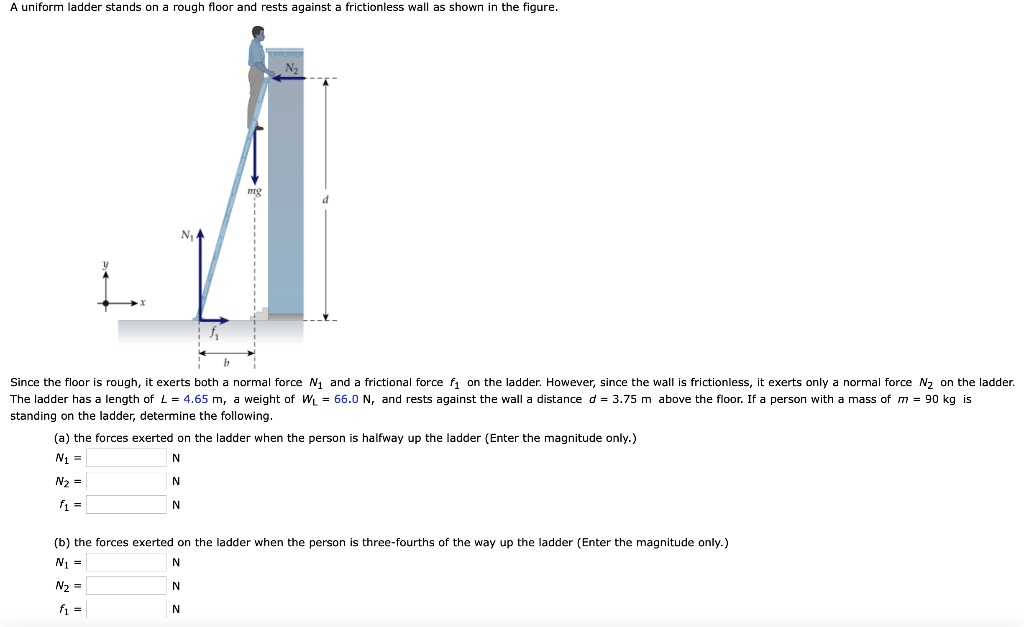 SOLVED:uniform ladder stands on rouqn floor and rests against frictionless wall shown the figure ...